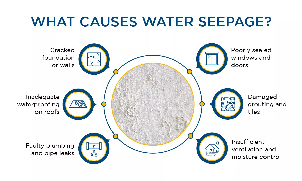 Water Seepage Issues: Damaging Effects and Repair Solutions