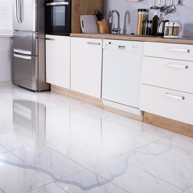 Blog on Waterproofing Solutions for Happy Homes | Dr. Fixit